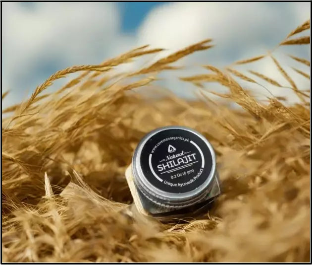 The Main Workings and Powers of Shilajit